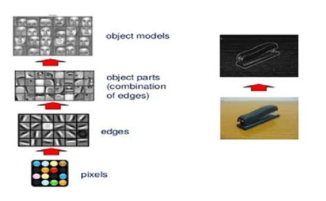Feature Hierarchy In Deep Neural Networks Download Scientific Diagram