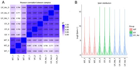 Clustered Analysis Of Correlation To Analyzed Samples A Correlation