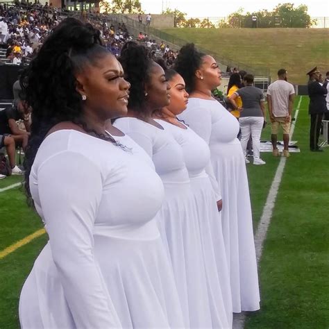 Alabama State Honeybee Z