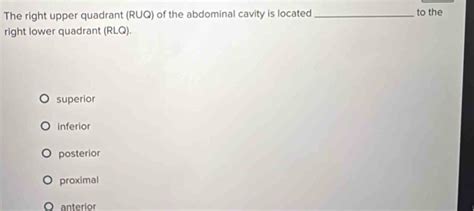 Solved The Right Upper Quadrant Ruq Of The Abdominal Cavity Is