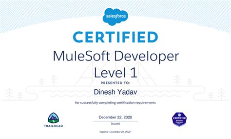Mulesoft Certified Developer Exam Guide Dydc