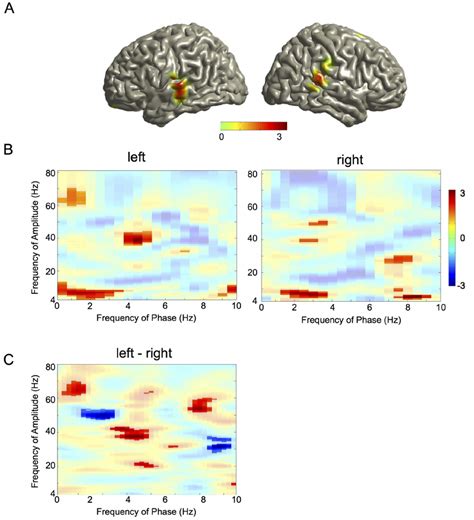 Cross Frequency Phase Amplitude Coupling A Spatial Distribution Of Download Scientific
