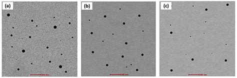 Formulation Development And In Vitro In Vivo Characterization Of Methotrexate Loaded