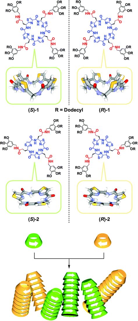 homochiral supramolecular polymerization of bowl shaped chiral