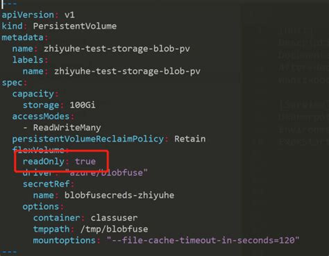 Read Only Storages Permission Is Still `rw` · Issue 4688 · Microsoft