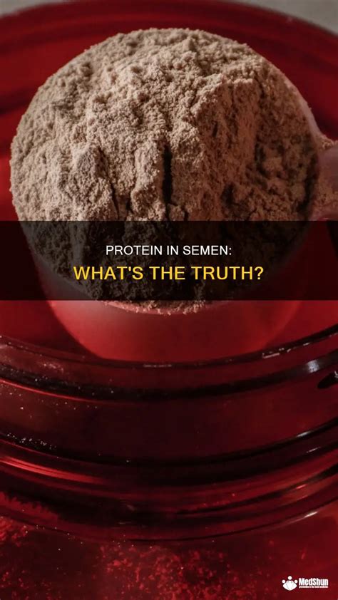 Protein In Semen Whats The Truth Medshun