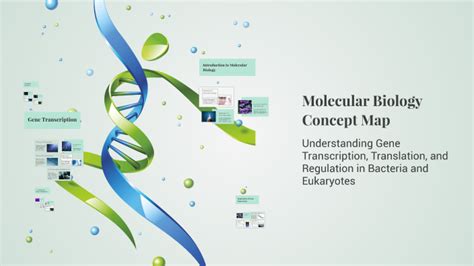 Molecular Biology Concept Map By Kay Themene On Prezi