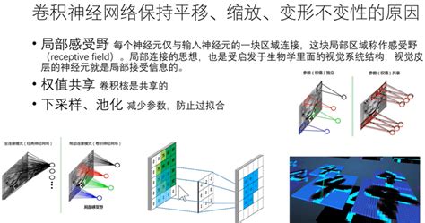 【深度学习】卷积神经网络cnn入门介绍 csdn博客