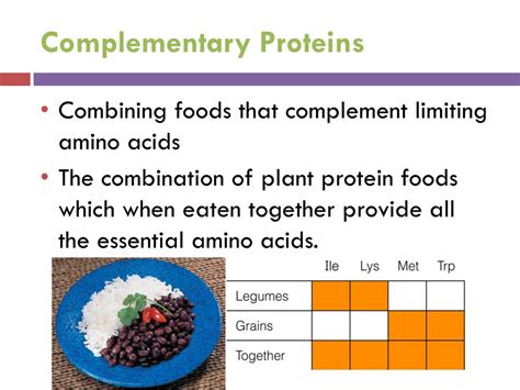 PPT Proteins PowerPoint Presentation Free Download ID 2009523