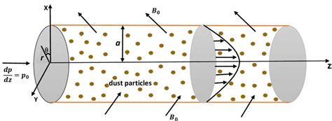 Geometry Of The Dusty Fluid Flow In A Circular Cylinder Download Scientific Diagram