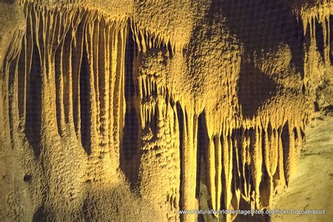 Mammoth Cave Slide Show Cave Tours At Mammoth Cave National Park