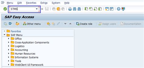 SAP BASIS Export Import Client