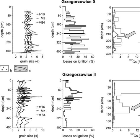 Sediment Stratigraphy And 137 Cs Activity In Profiles Sampled At