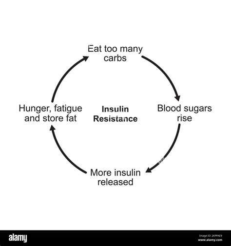 Insulin Resistance Concept Design Vector Illustration Stock Vector Image Art Alamy