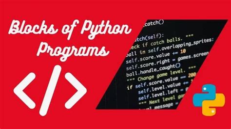 Fondamentaux Des Premiers Programmes Python Maîtriser Les Bases