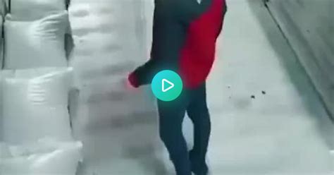 material handling lvl 80 album on imgur