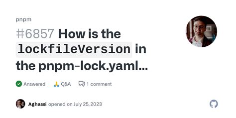 How Is The `lockfileversion` In The Pnpm Lockyaml Determined · Pnpm · Discussion 6857 · Github