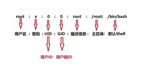 linux etc passwd权限 linux中 etc passwd配置文件详解 csdn博客