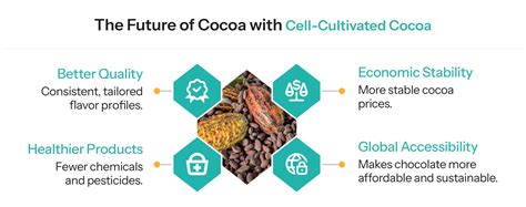 The Future Of Chocolate Exploring Cell Cultivated Cocoa Stellarix