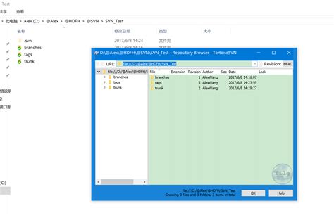 svn trunk 主线 branch 分支 tag 标记 用法详解和详细操作步骤 csdn博客