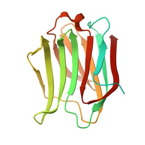 Protein Lgals3 Overview Cansar Ai Cansar Ai