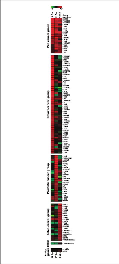 Results Of Global Ctc Expression Profiling By Microarrays Download