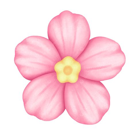 귀여운 핑크 근염은 나를 잊지 마세요 꽃 꽃 그림 근염 일러스트 핑크 꽃 꽃 그림 Png 일러스트 및 Psd 이미지 무료 다운로드 Pngtree