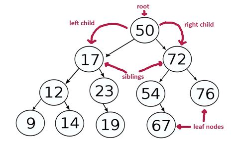 The React Developer Roadmap Hackernoon