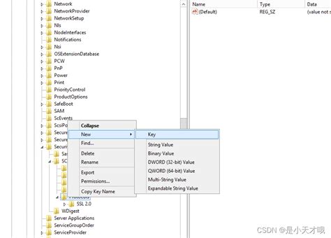 windows server 注册表启动tls 1 2关闭tls1 1和tls1 0 windows tls 1 1 csdn博客