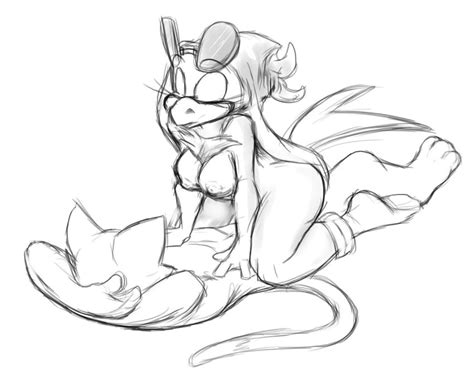 Rule 34 Mel The Hybrid Sonic Series Sonic Riders Sonic The Hedgehog