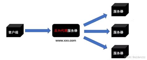 nginx正向代理与反向代理 nginx反向代理和正向代理的区别 csdn博客