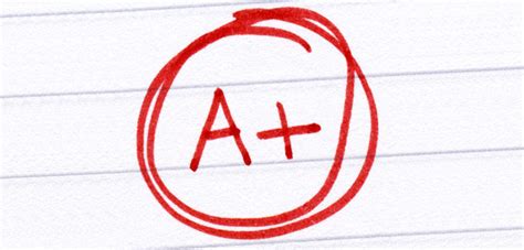 Focus On Assignments Educators Sight Reading Factory®