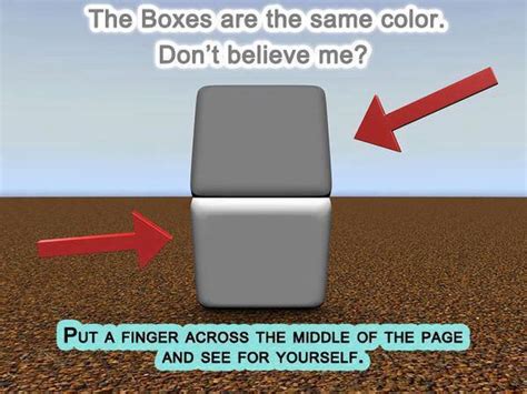Same Color Boxes 1Funny Com