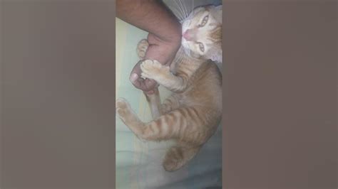 ලොකු රවුමක් ඇවිදලා ආව හරි මහන්සියි Youtube