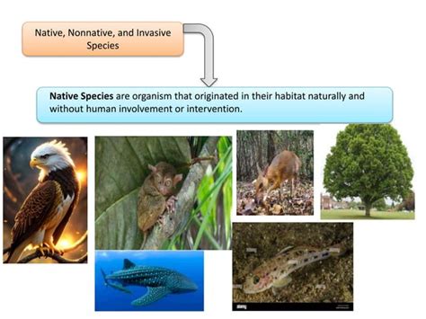 Interactions And Interdependencepptx