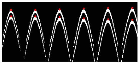 Estimation Of Coarse Root System Diameter Based On Ground Penetrating Radar Forward Modeling