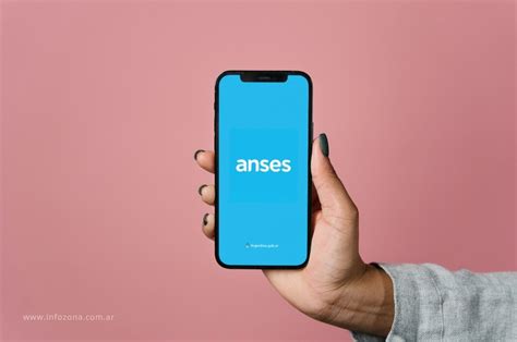 Actualización De Datos En Anses ¿por Qué Es Importante Y Cómo Hacerlo