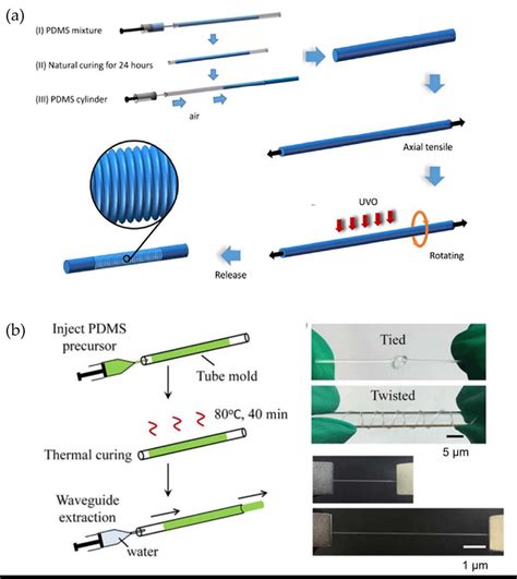 A Wrinkled Pdms Cylinder Preparation Process And B Fabrication And Download Scientific