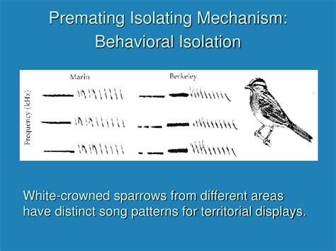 Ppt Speciation Powerpoint Presentation Free Download Id353758