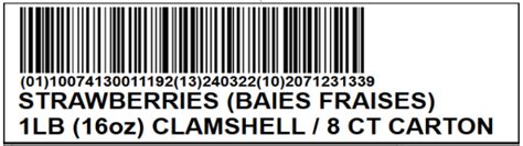 What Is A Gs1 Application Identifier