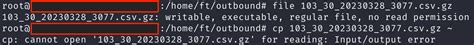 Blobfuse2 On Aks 1255 Does Not Support Files With `content Encoding