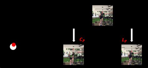 Re Corrupting The Test Input Data C0 In The Super Resolution Case Download Scientific