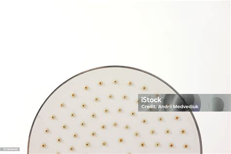 더러운 석회화 원형 샤워 헤드와 팔 크롬 믹서 탭 녹과 석회질이 있는 수도꼭지 경수의 플라크 클로즈업 바닥 보기 청소 회사 개념입니다 0명에 대한 스톡 사진 및 기타 이미지