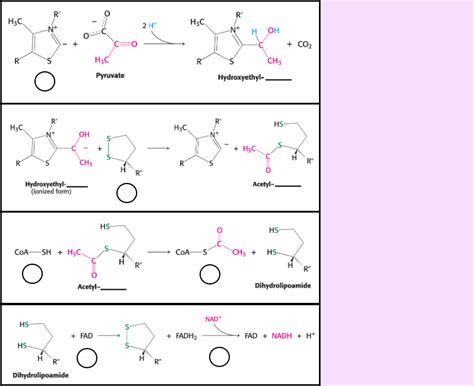 Chm 360 Exam Iii Key Biology Terms And Definitions Flashcards Quizlet