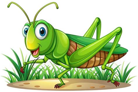 Animated Grasshopper Images Free Download On Freepik