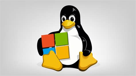 Microsoft Ammessa Alla Lista Chiusa Linux Distro Security Mia Mamma Usa Linux