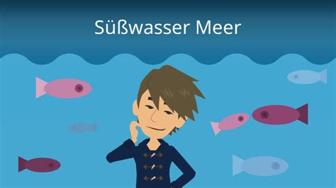 Was Ist Brackwasser • Einfach Erklärt · Mit Video