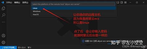小白第一次使用vs Code 的 Remote Ssh进行服务器开发 知乎