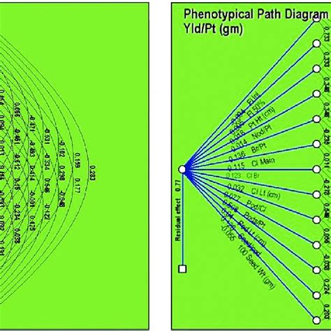 Genotypic A And Phenotypic B Path Coefficient Analysis For Yield In Download Scientific