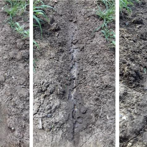 1 AASHTO Classification Chart Download Table